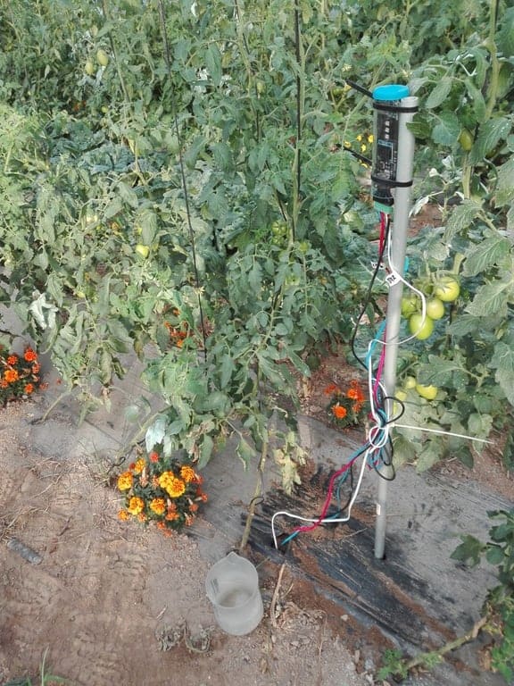 Sistema De Riego De Tomates
